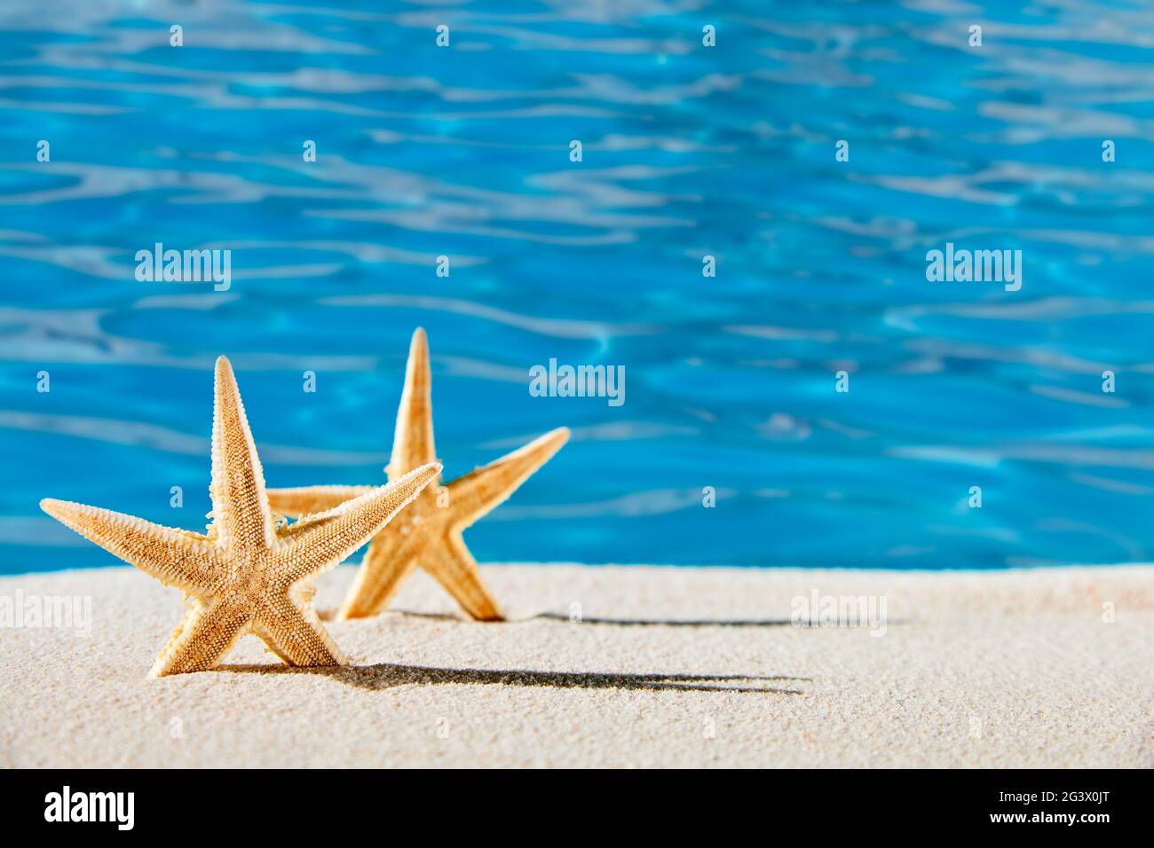 Starfishes stand in the sand on a blue water background Stock Photo - Alamy