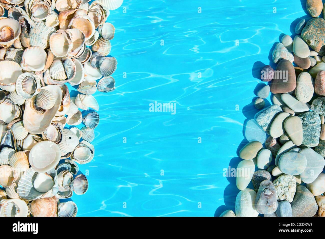 Summer background pattern from seashells and sea pebbles in blue water ...