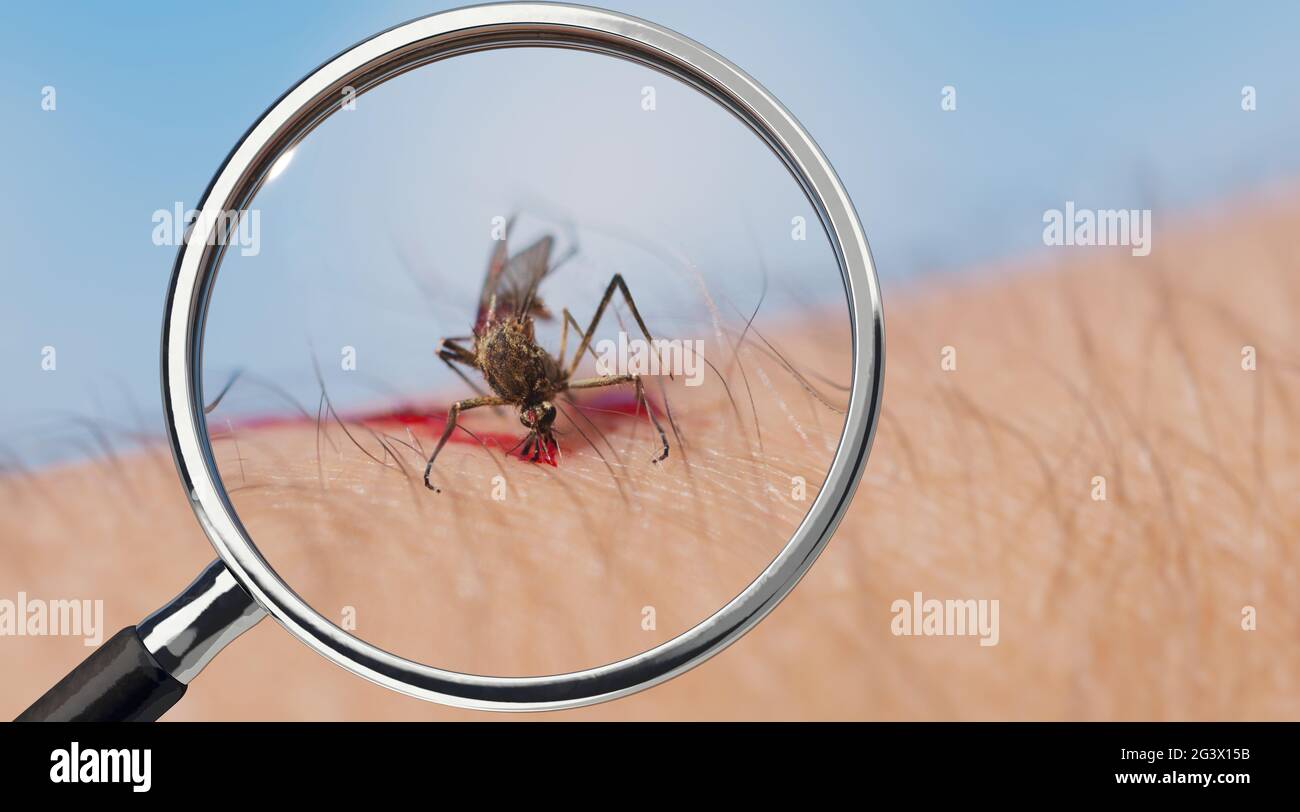 Gotcha hi-res stock photography and images - Alamy