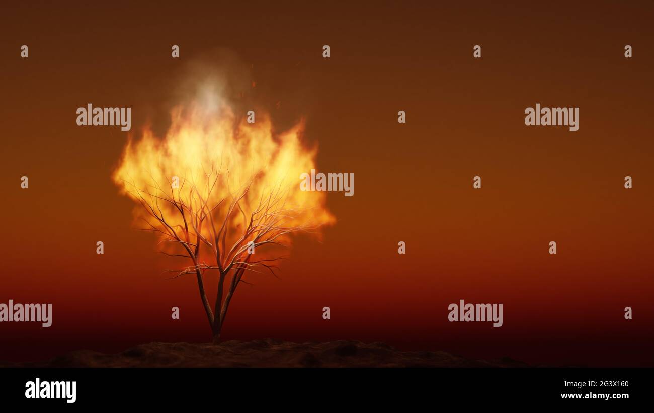 The burning bush religious symbol with space for your content Stock ...