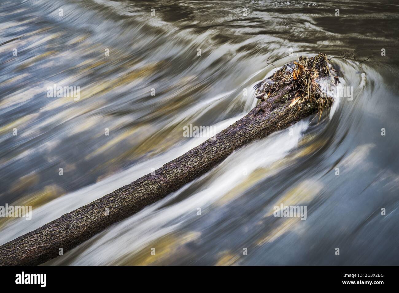 The tree in the river Stock Photo - Alamy