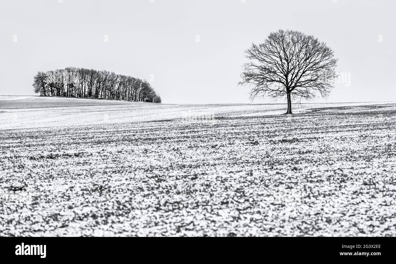 Winter scenery snow field hi-res stock photography and images - Alamy