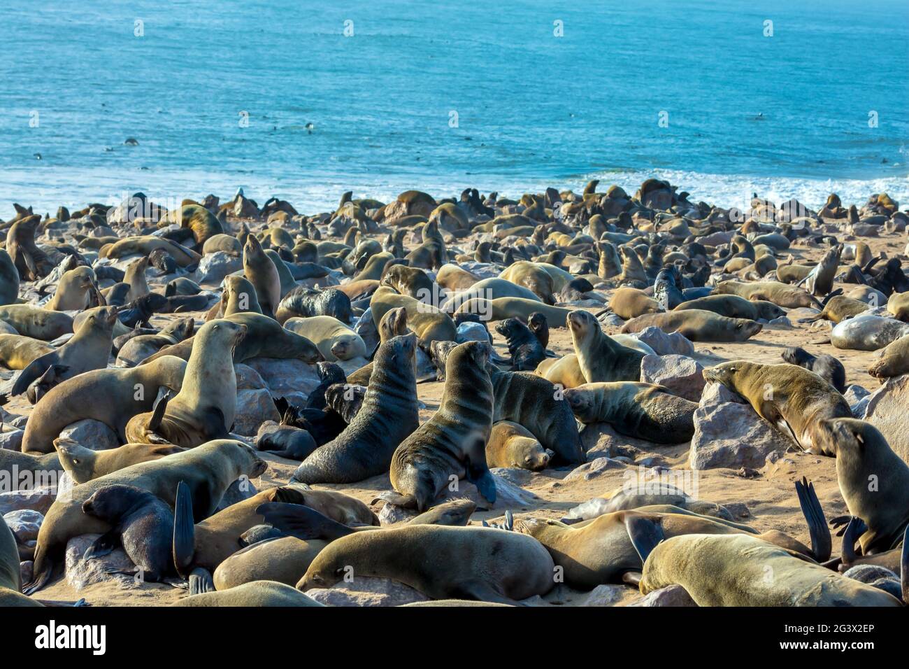 Africa. Cape Cross Stock Photo - Alamy