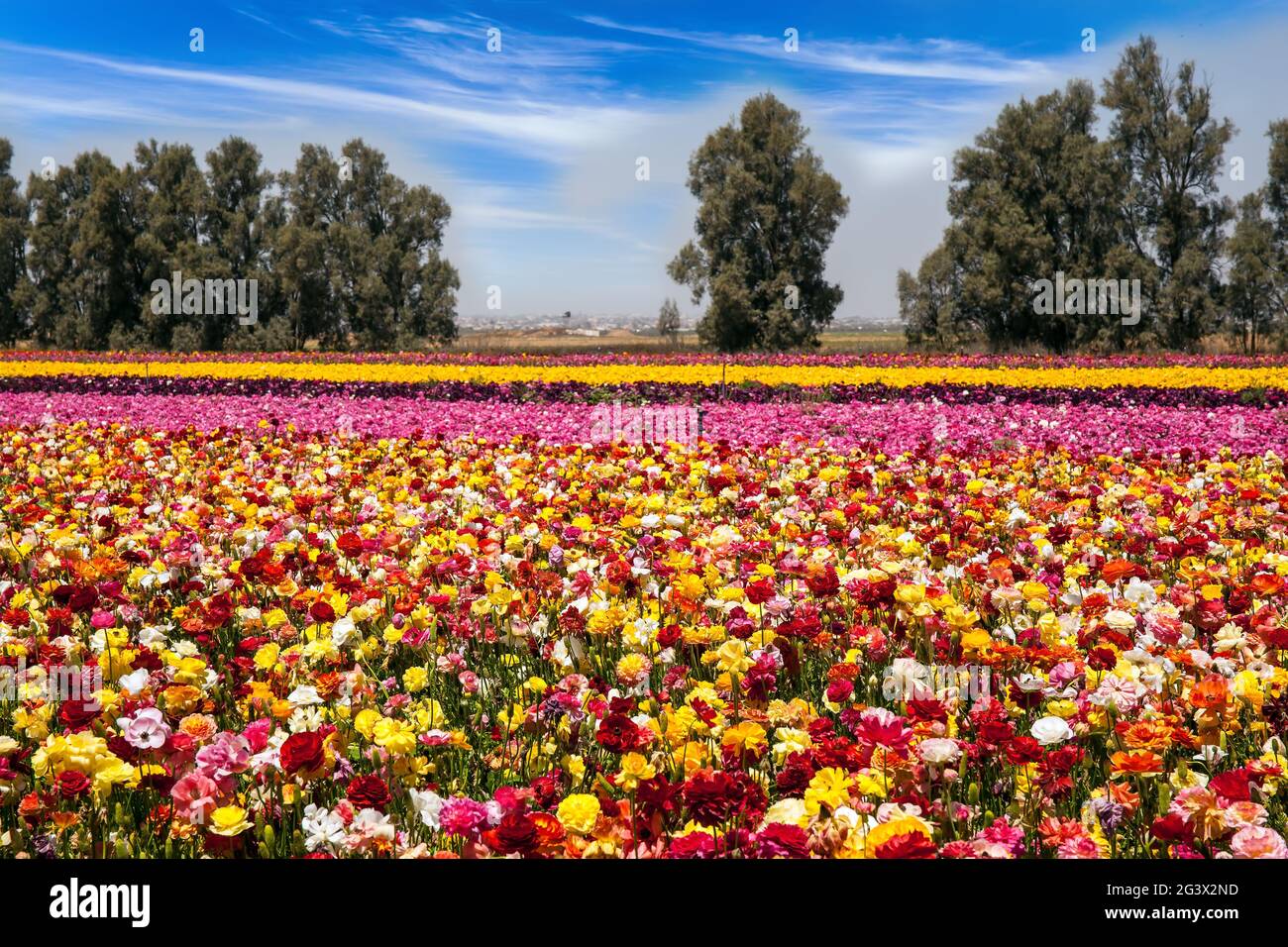 Spring walk in southern Stock Photo - Alamy