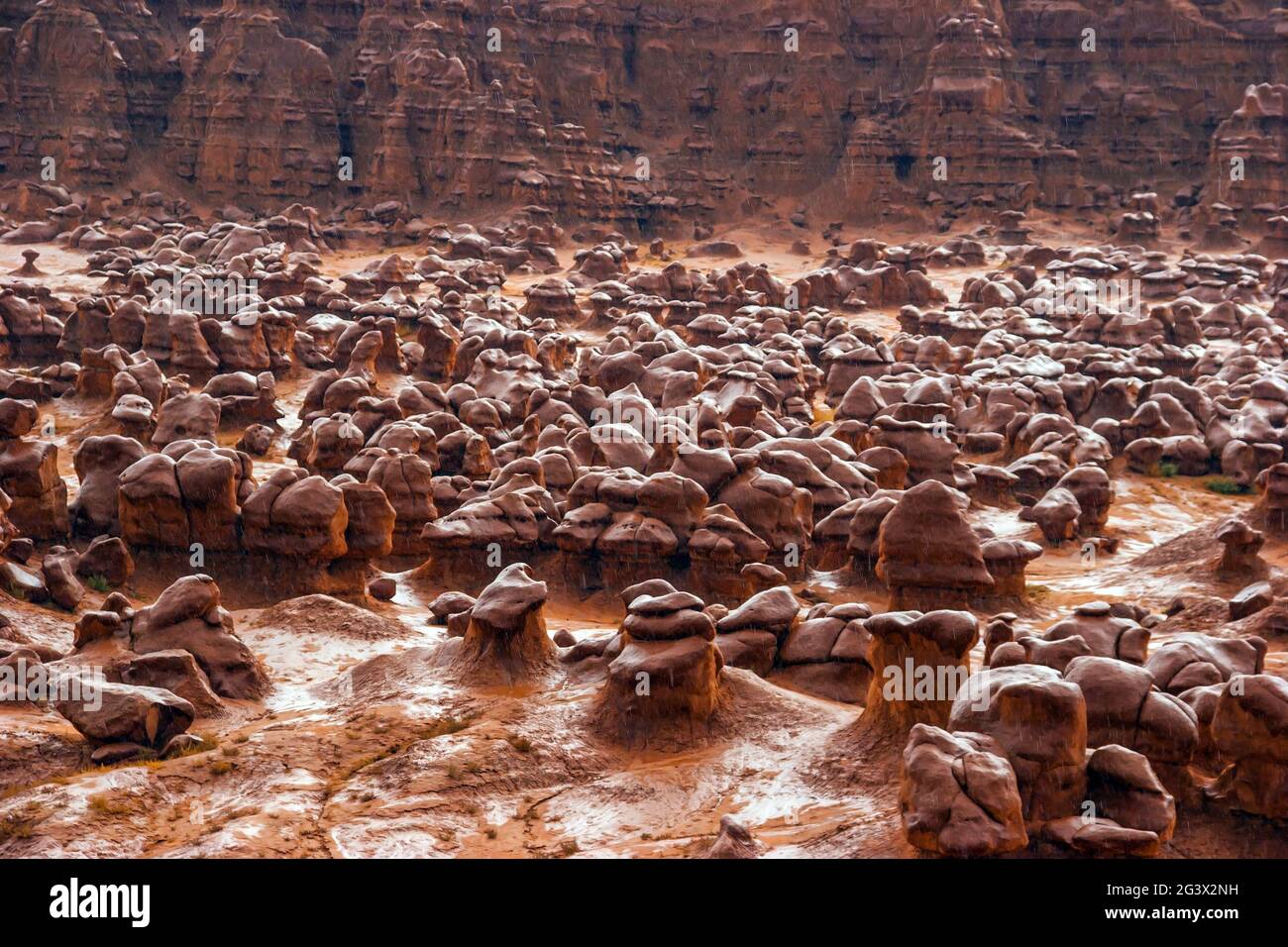 Desert mushrooms hi-res stock photography and images - Alamy