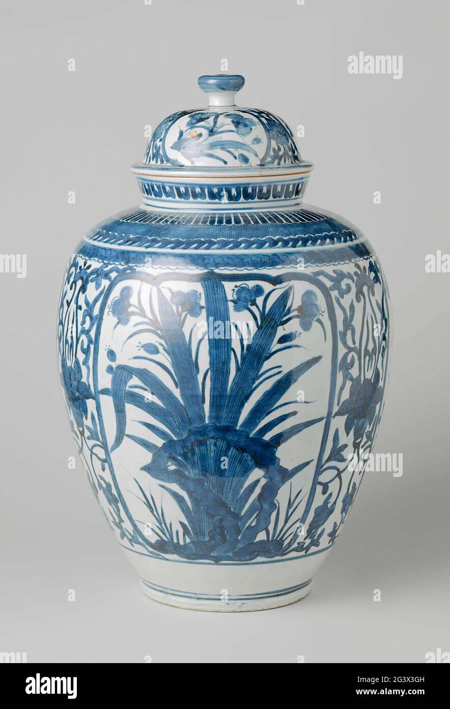 Belly three flowering plants hi-res stock photography and images - Alamy