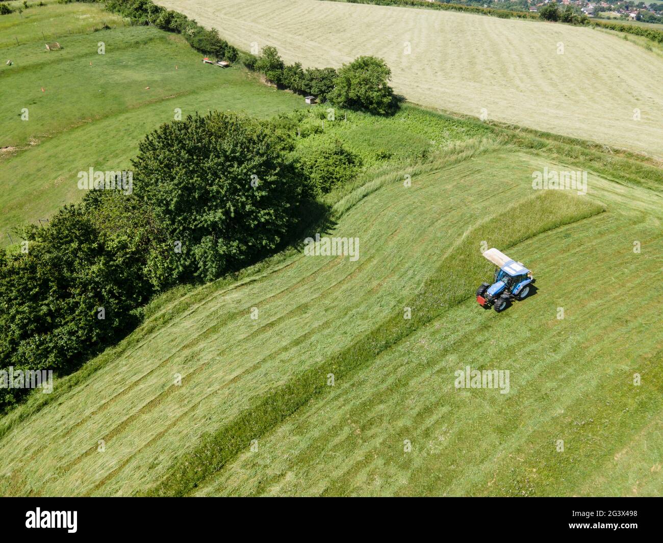 drone shot of blue tractor with mower cutting fresh green meadow ...