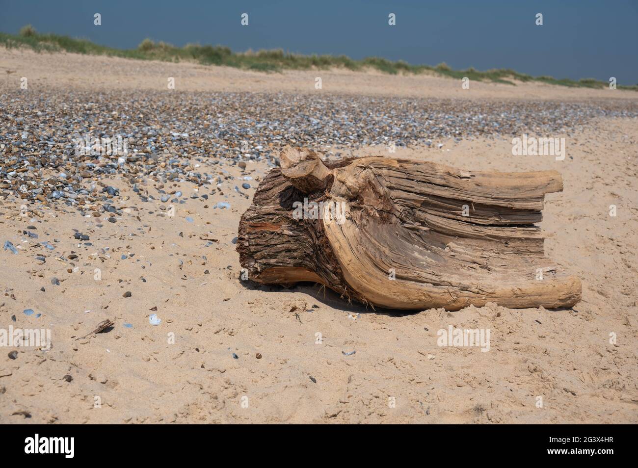 Large driftwood on beach hi-res stock photography and images - Alamy