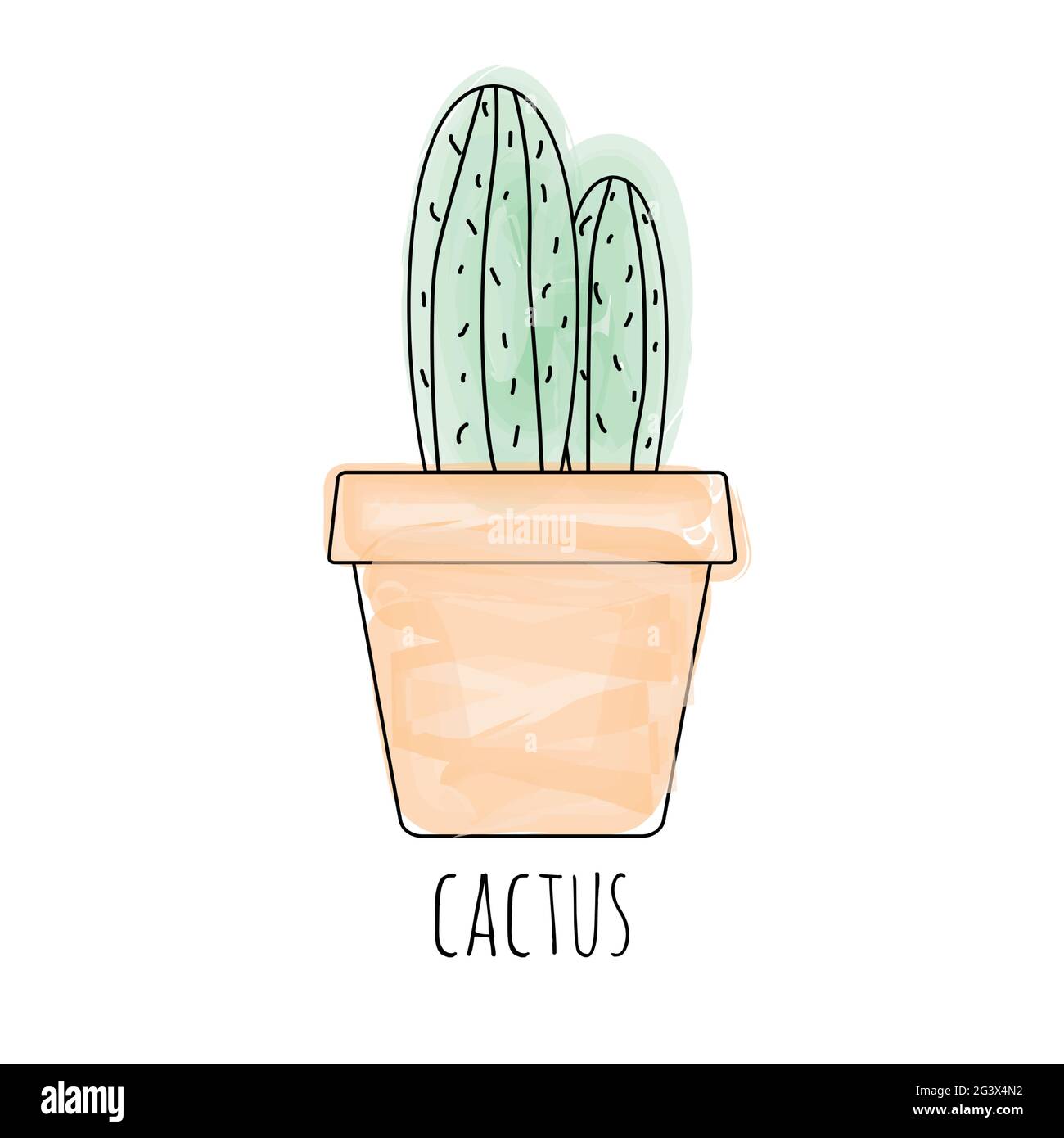 Little Cactus