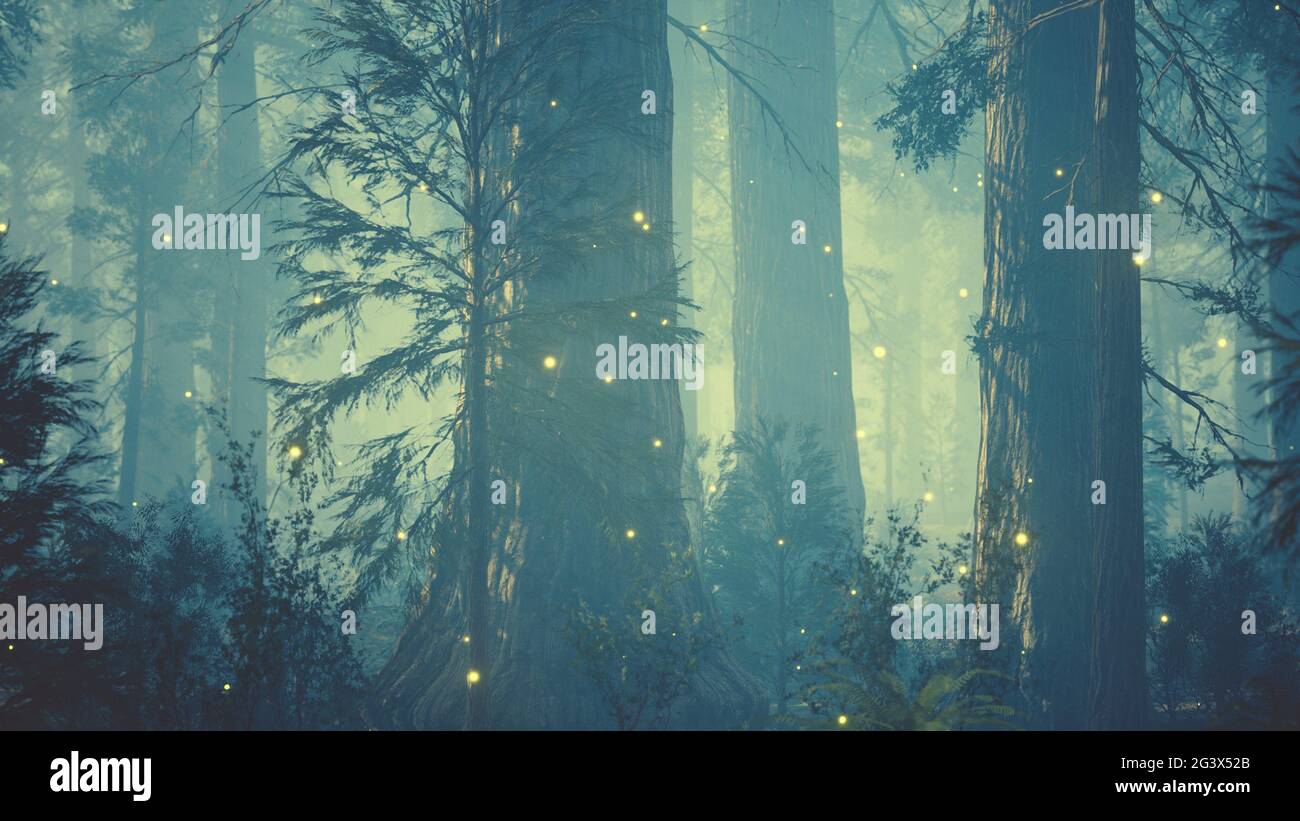 Fantasy firefly lights in the magical forest Stock Photo - Alamy