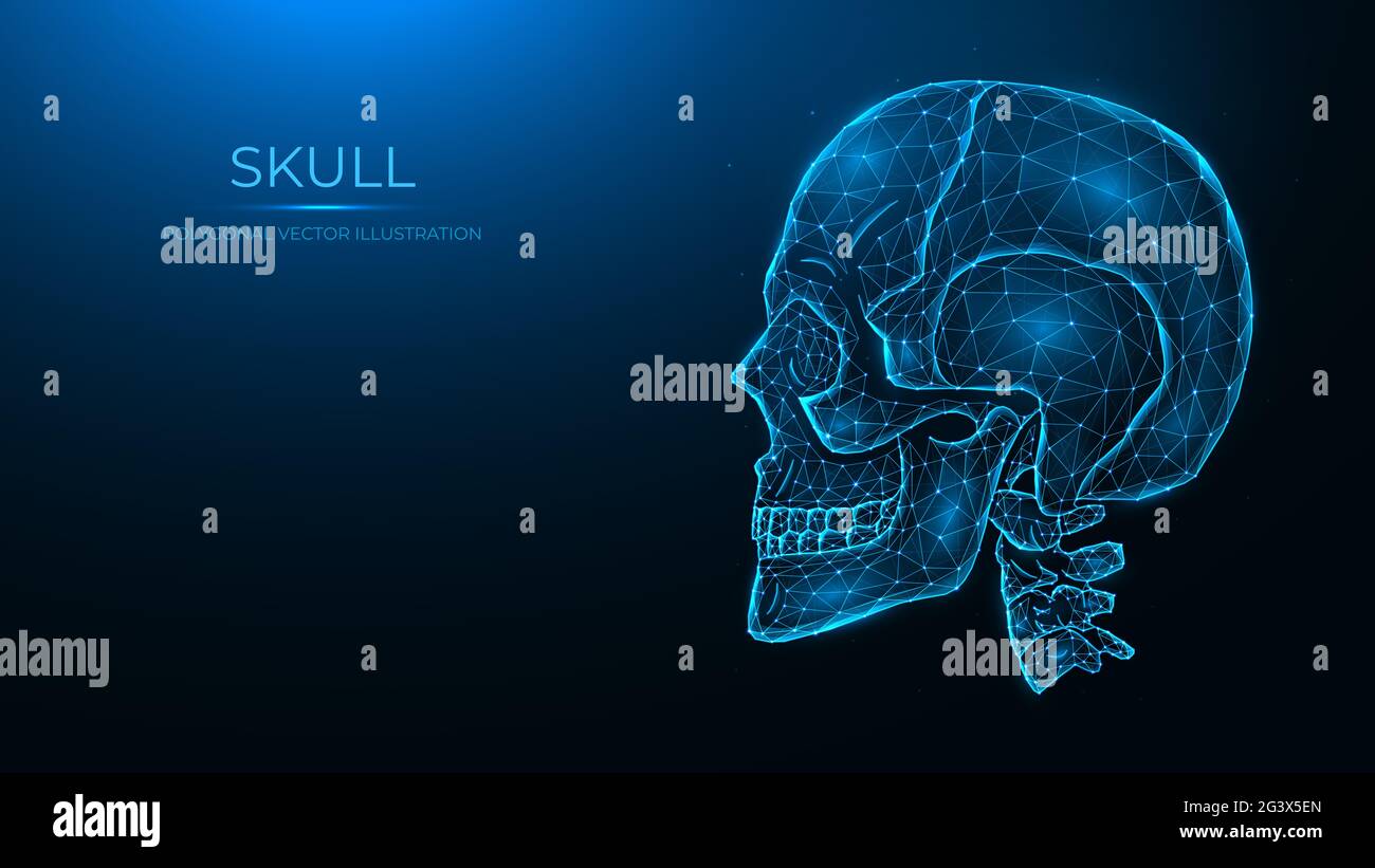 Human skull side view hi-res stock photography and images - Alamy