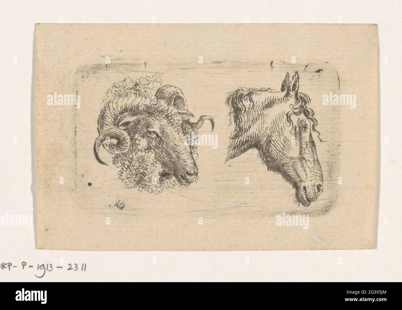 Ram and horse head Stock Photo - Alamy