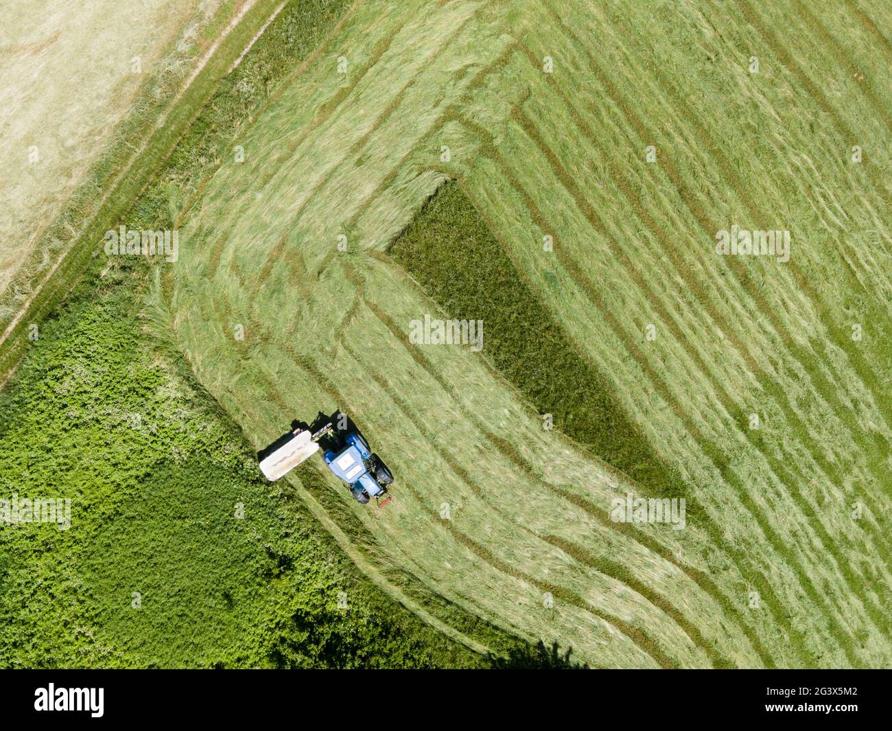 drone shot of blue tractor with mower cutting fresh green meadow ...