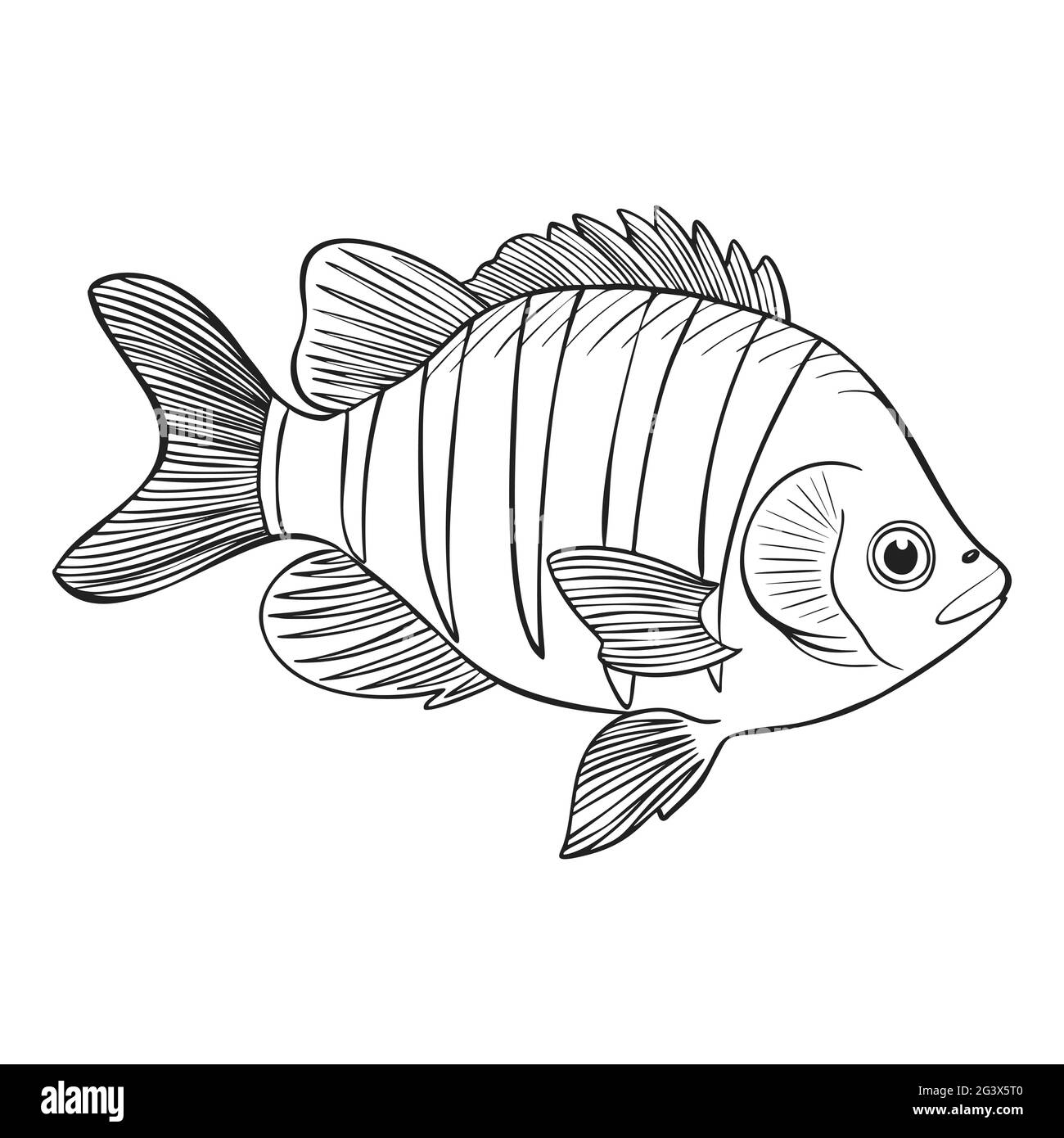Reef Fishes Sketch Vector Illustration. Hand Drawn Underwater Animals ...