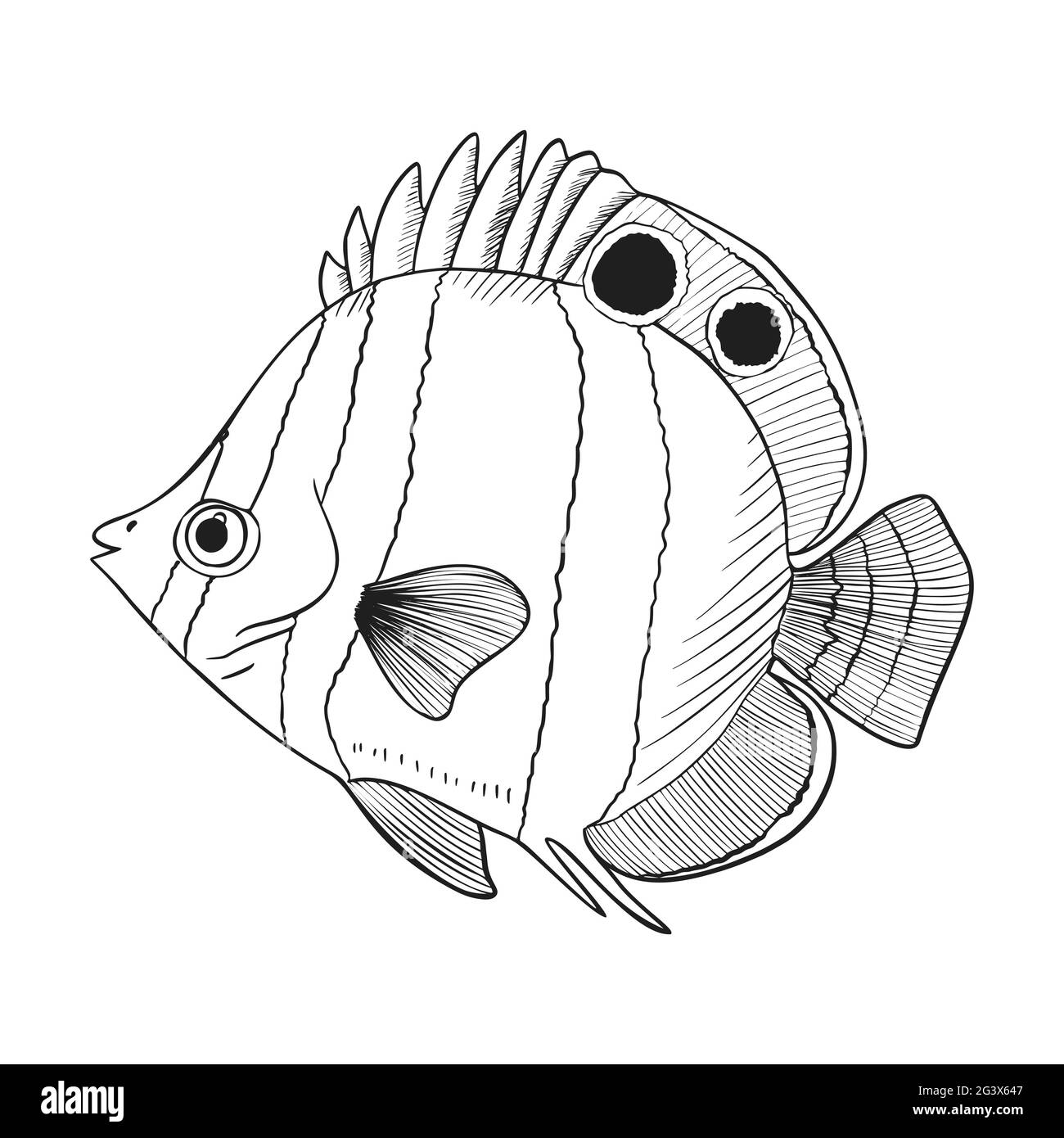 Reef Fishes Sketch Vector Illustration. Hand Drawn Underwater Animals ...