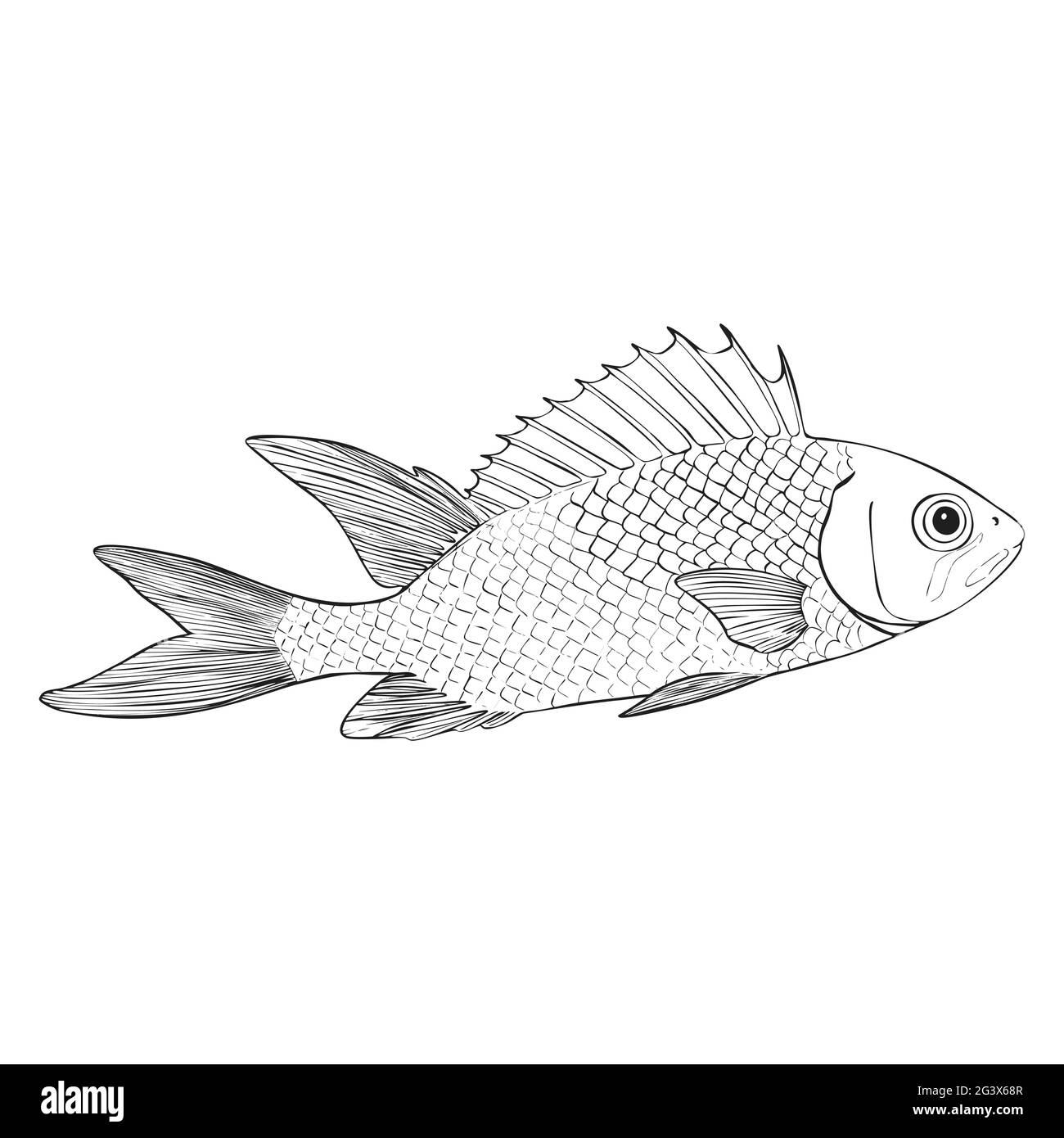 Reef Fishes Sketch Vector Illustration. Hand Drawn Underwater Animals ...