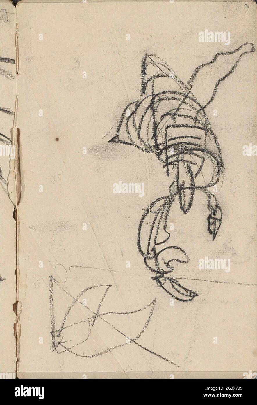 Studies of a lobster. Page 24 From a sketchbook with 13 sheets Stock ...