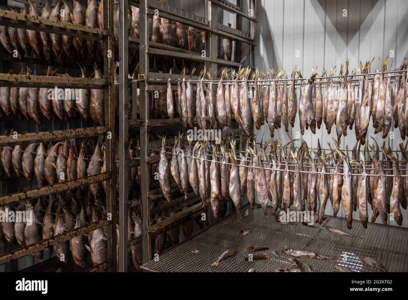 Smoked fish production hi-res stock photography and images - Alamy