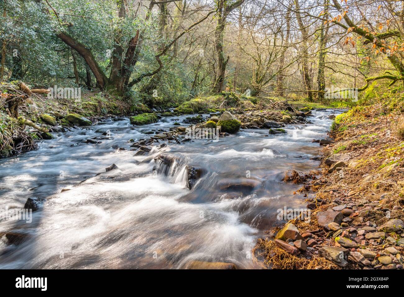Horner Water, Devon, England Stock Photo - Alamy