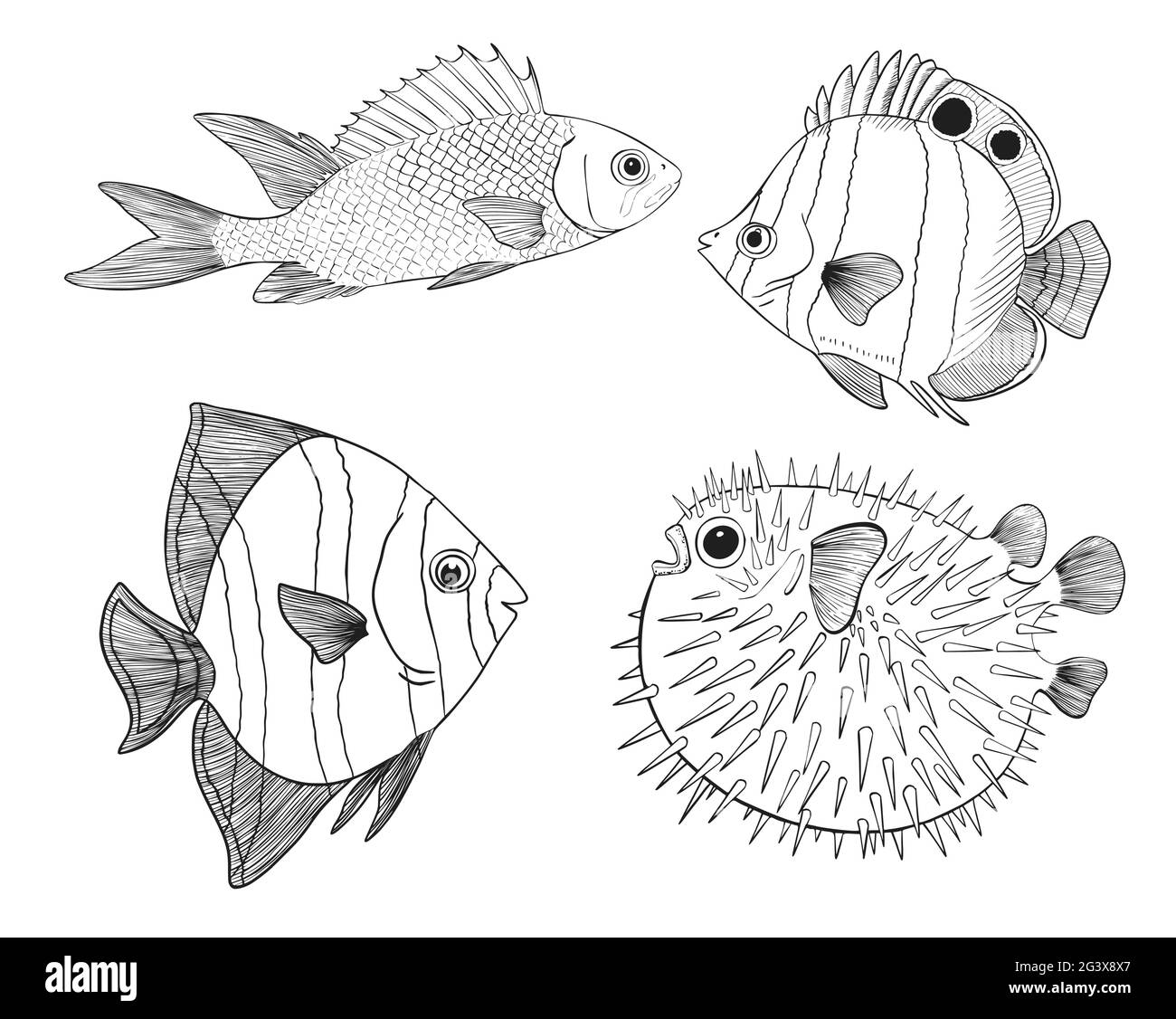 Reef Fishes Sketch Vector Illustration. Hand Drawn Underwater Animals ...