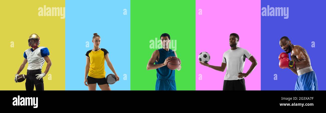 Collage of different professional sportsmen, fit people isolated on ...