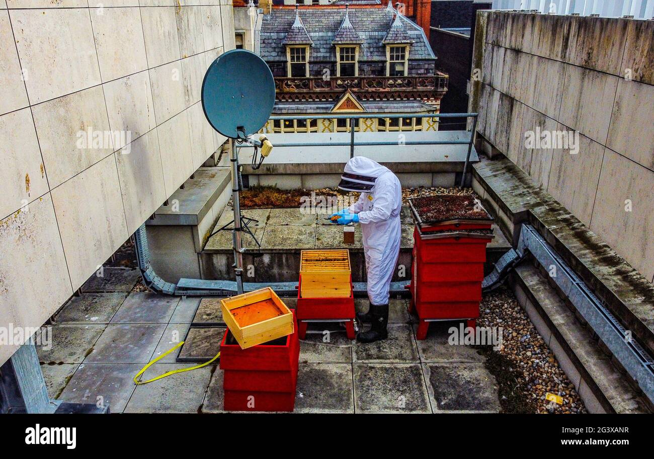 John Beavan, Master Beekeeper at Nurture harvests honey from the ...