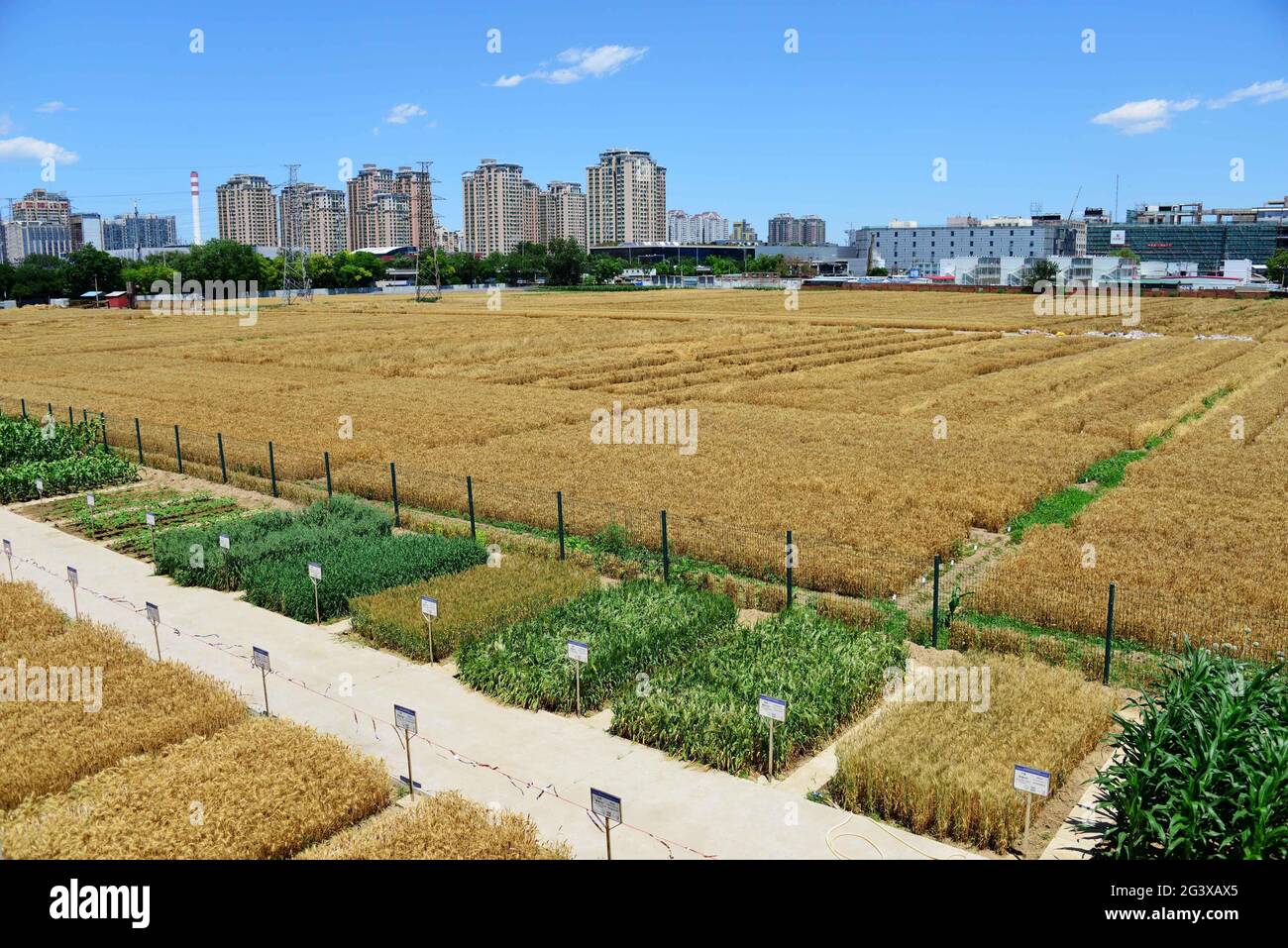 Beijing, China: On June 18, 2021, at the south of Lenovo Bridge, Third ...