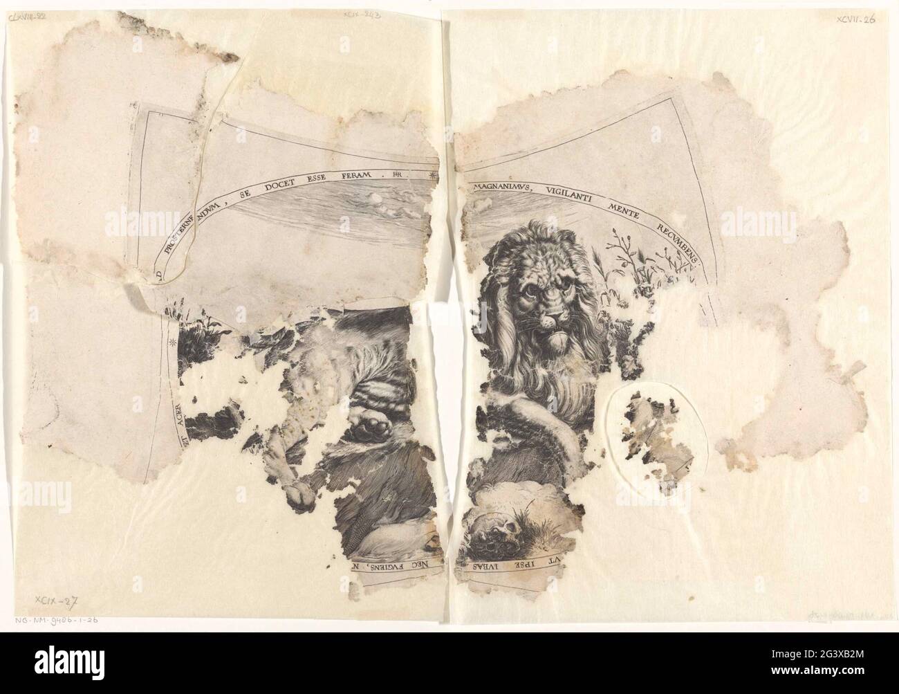 Lion. Oval presentation of a lion lying in a skull. To the show a Latin ...