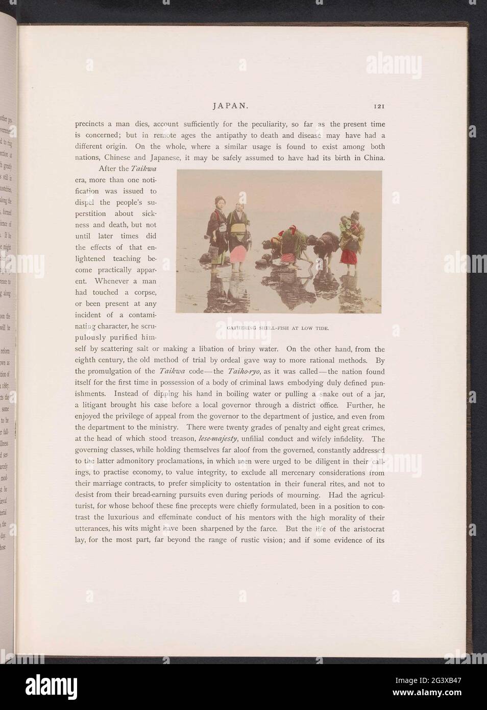 Gathering shell-fish at low tide Stock Photo - Alamy