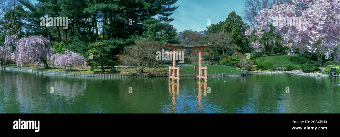 Tori gate cherry blossoms hi-res stock photography and images - Alamy
