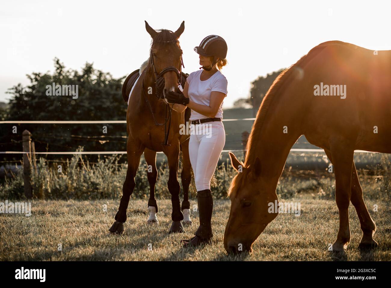 Standing horse rider talking woman hi-res stock photography and images ...
