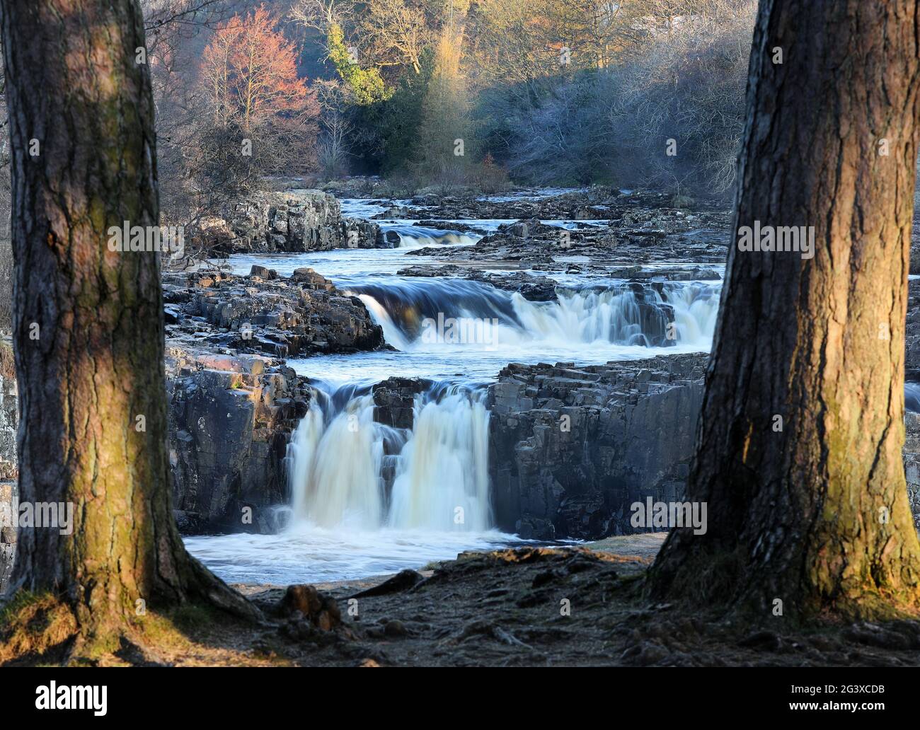 Low Force Waterfall Framed by Trees and Illuminated by the rising sun ...