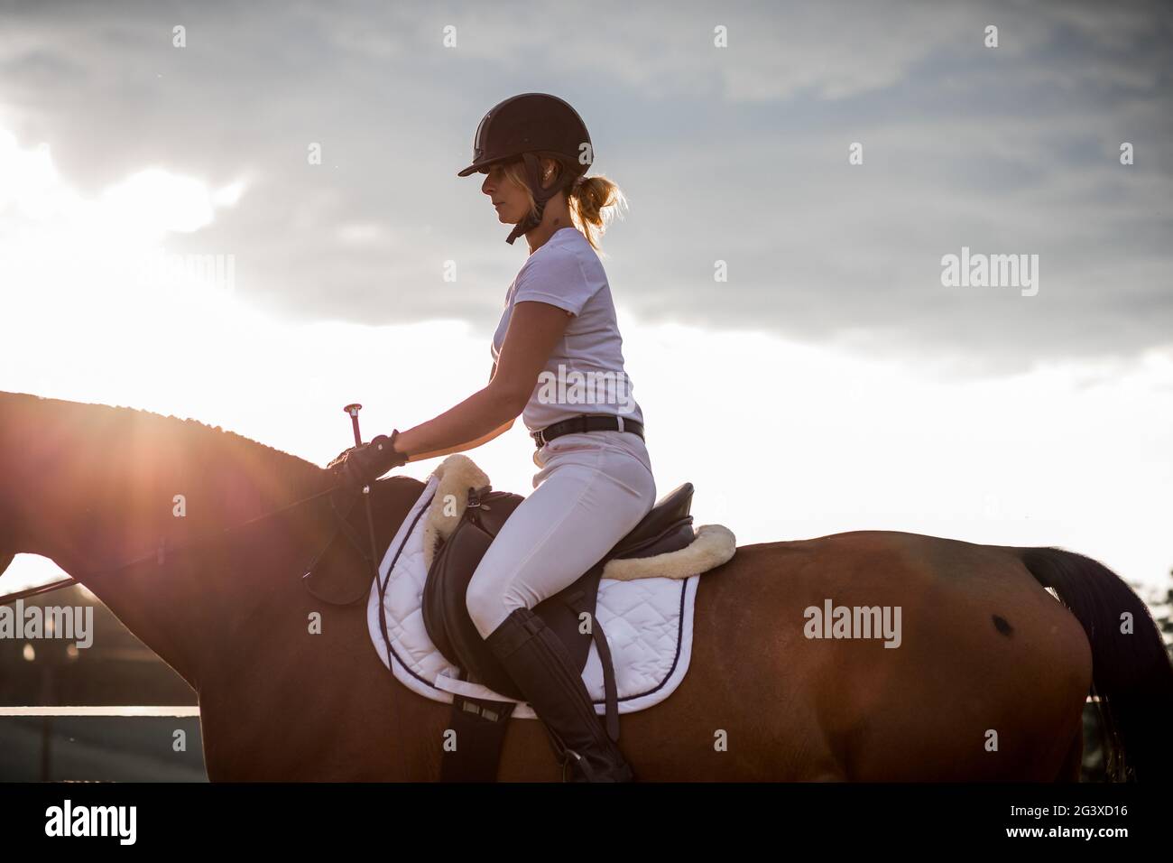 Portrait of young rider in profile against the sky.The concept of ...