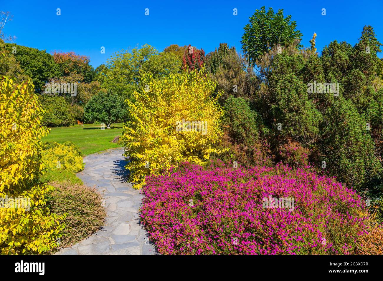 Image of path hi-res stock photography and images - Alamy