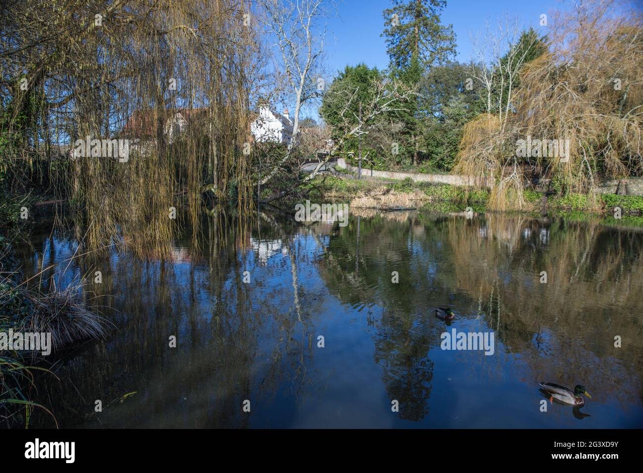 Slindon west sussex england hi-res stock photography and images - Alamy