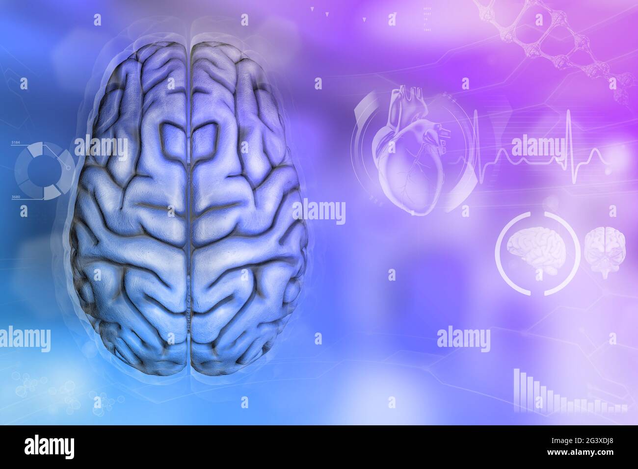 Medical 3D illustration - human brain, nerve analysis concept - highly ...