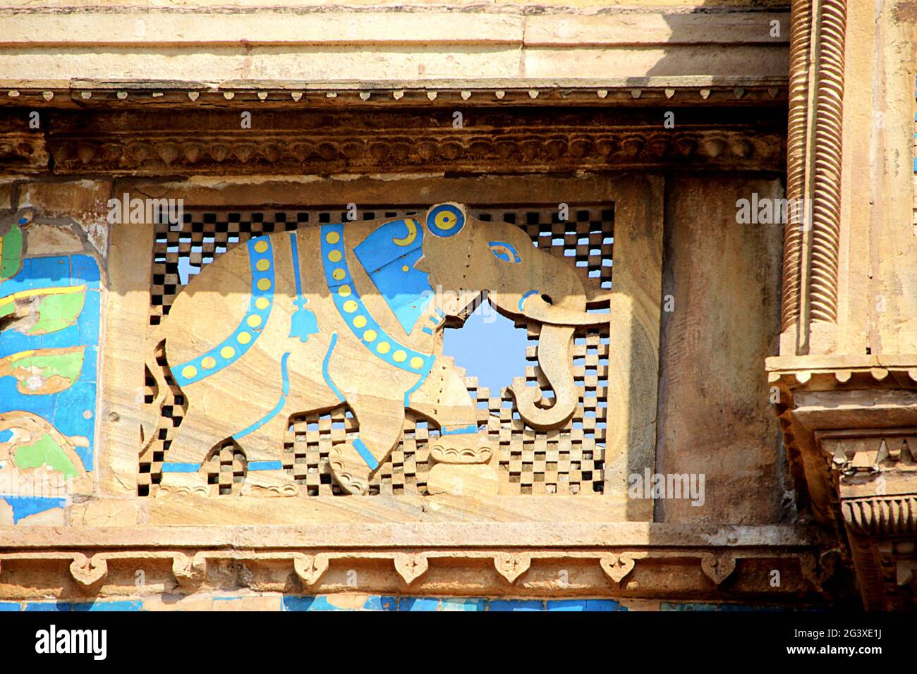 Elephant on Window Pane Stock Photo - Alamy