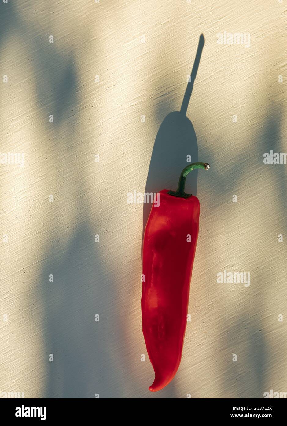 Red chilli pepper and shadow on yellow textured background. Concept of ...