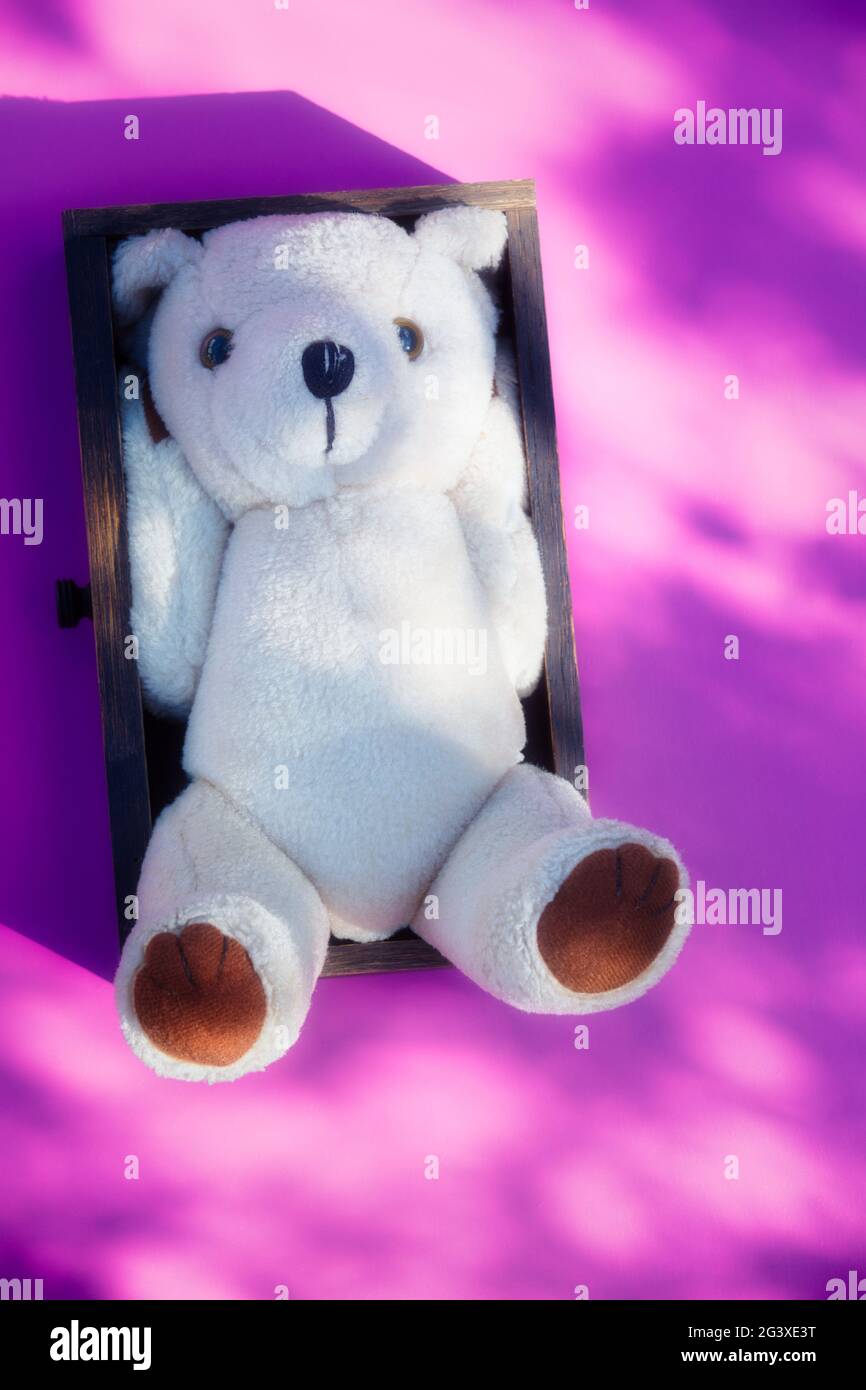 Cute teddy bear trapped in drawer against pink background. Concept of ...