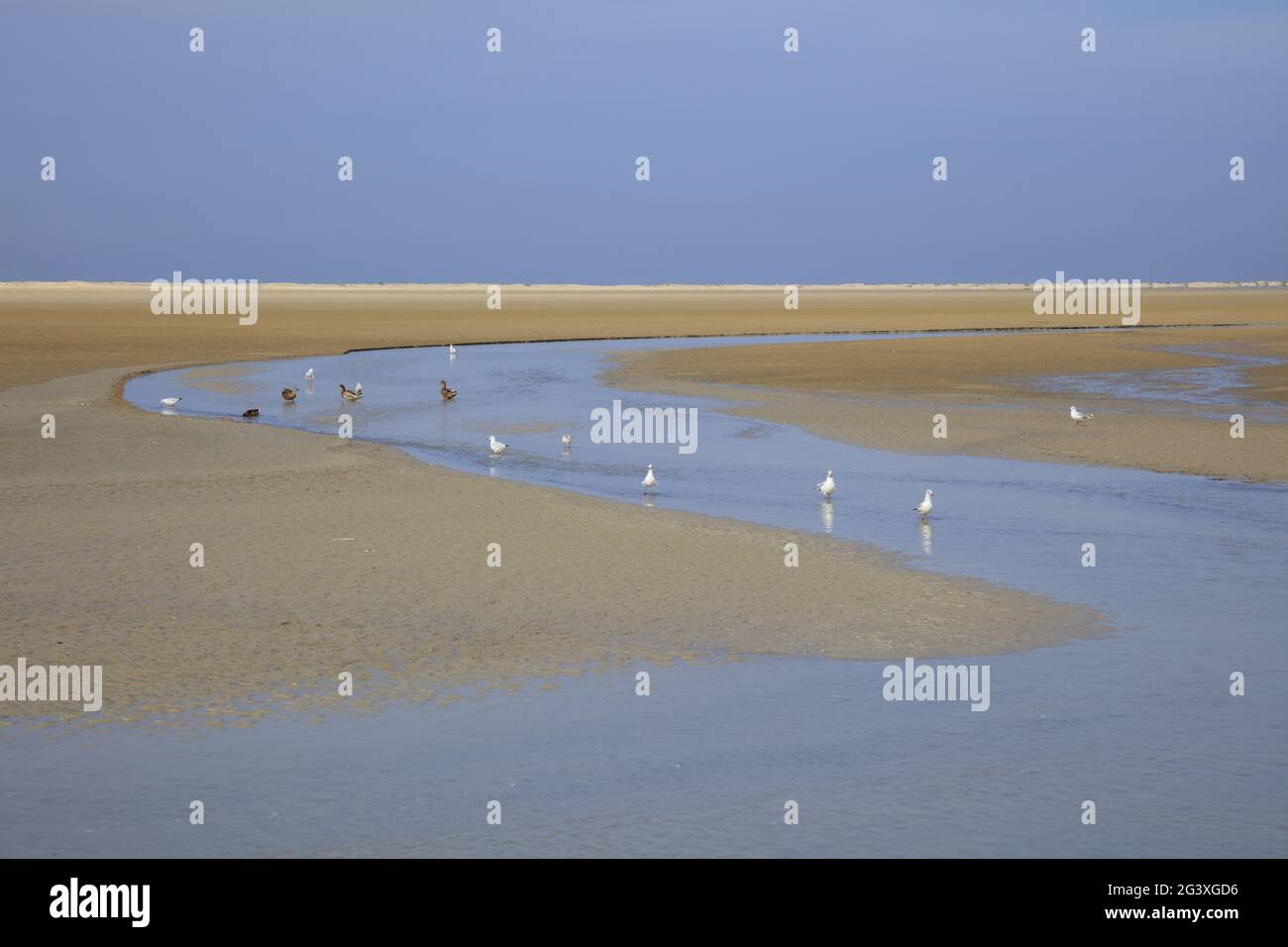Wadden sea island borkum hi-res stock photography and images - Alamy