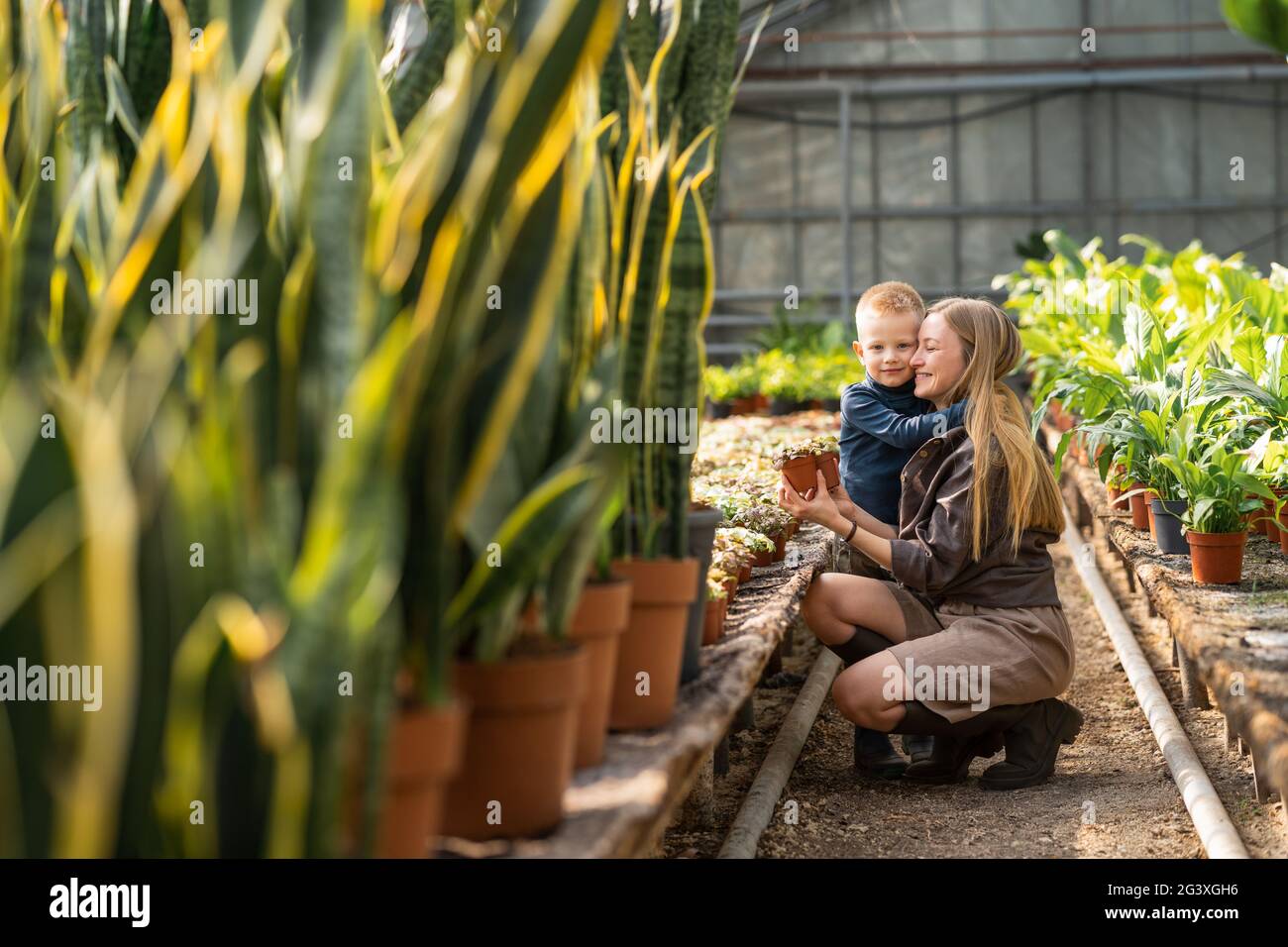 Boy hugs the mother who is looking at the flowerpots with plants in the ...