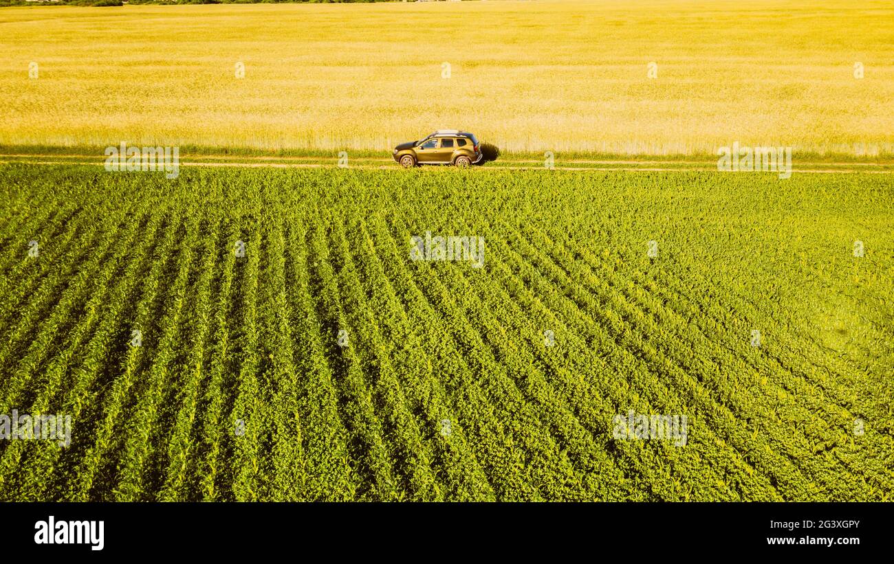 Russia field aerial corn hi-res stock photography and images - Alamy