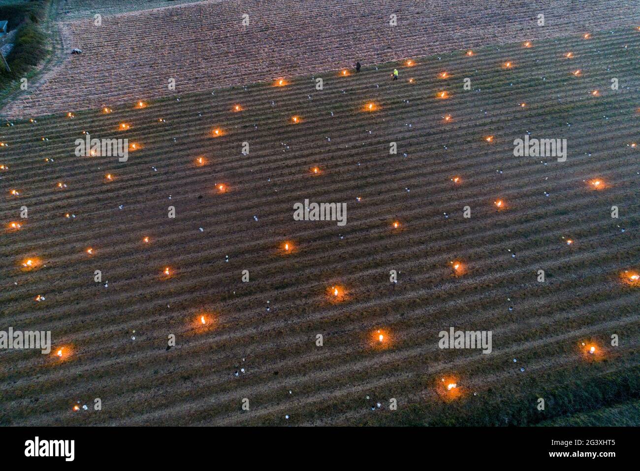 Monnieres (north western France): candles lit up between the rows of ...