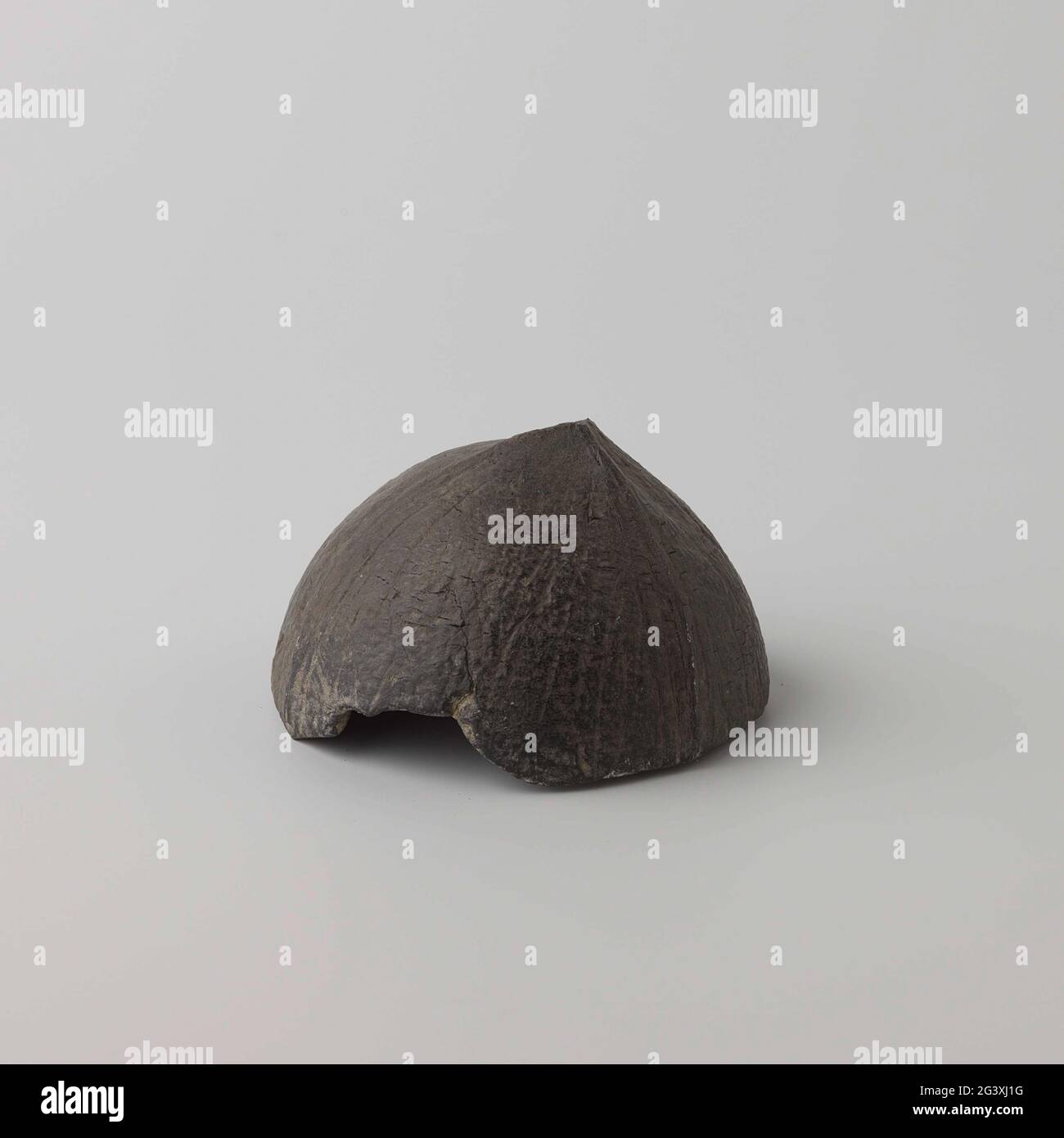 Half coconut from v.o.c.-ship the 'white lion'. Half coconut from v.o.c ...