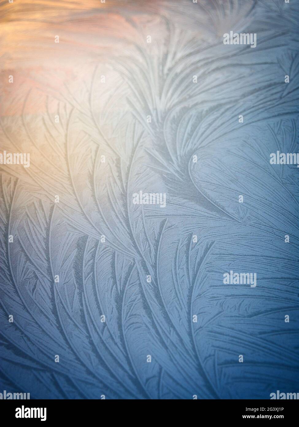 Ice and flowers hi-res stock photography and images - Alamy