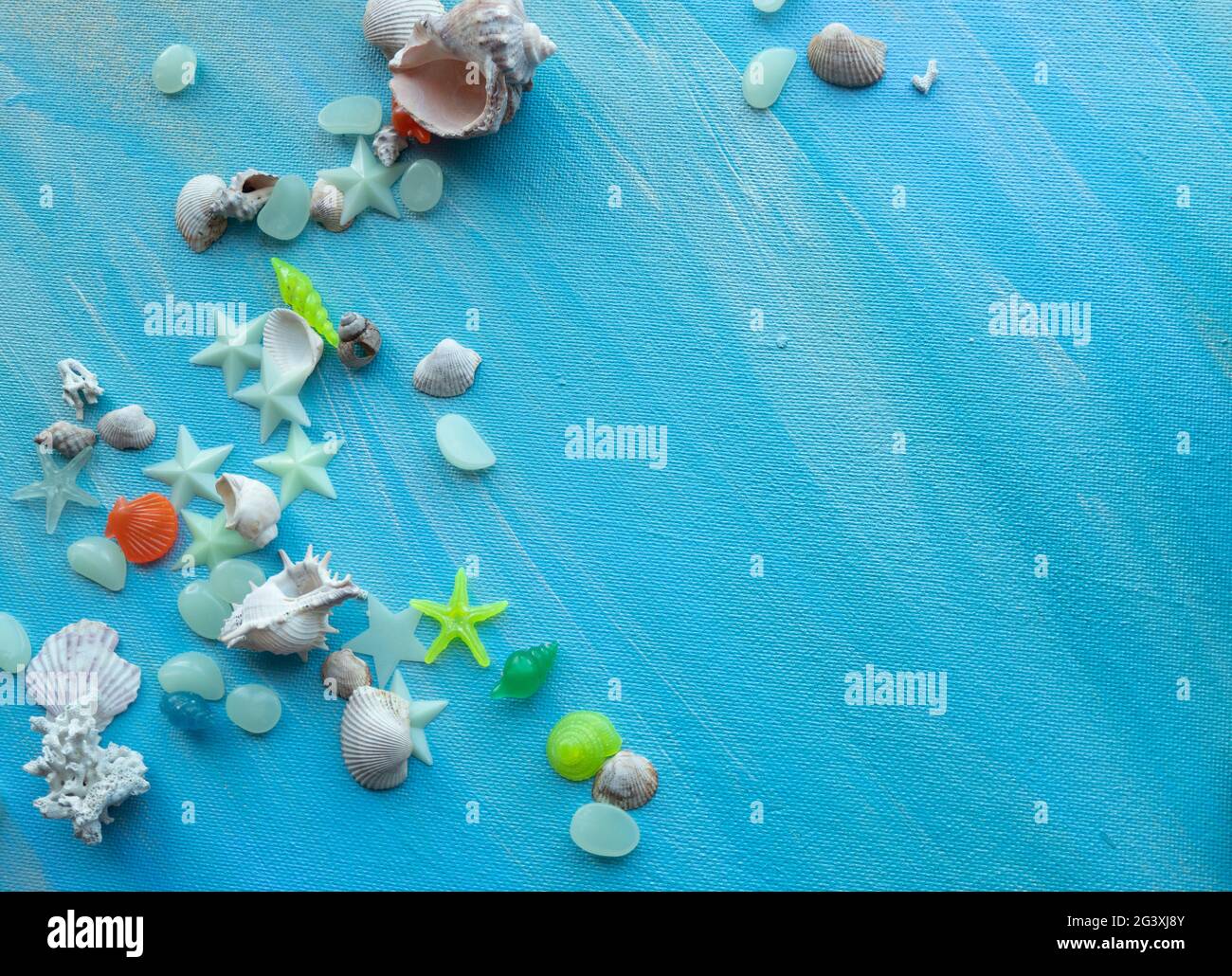 Seashells summer background. Many different seashells, starfish on a ...