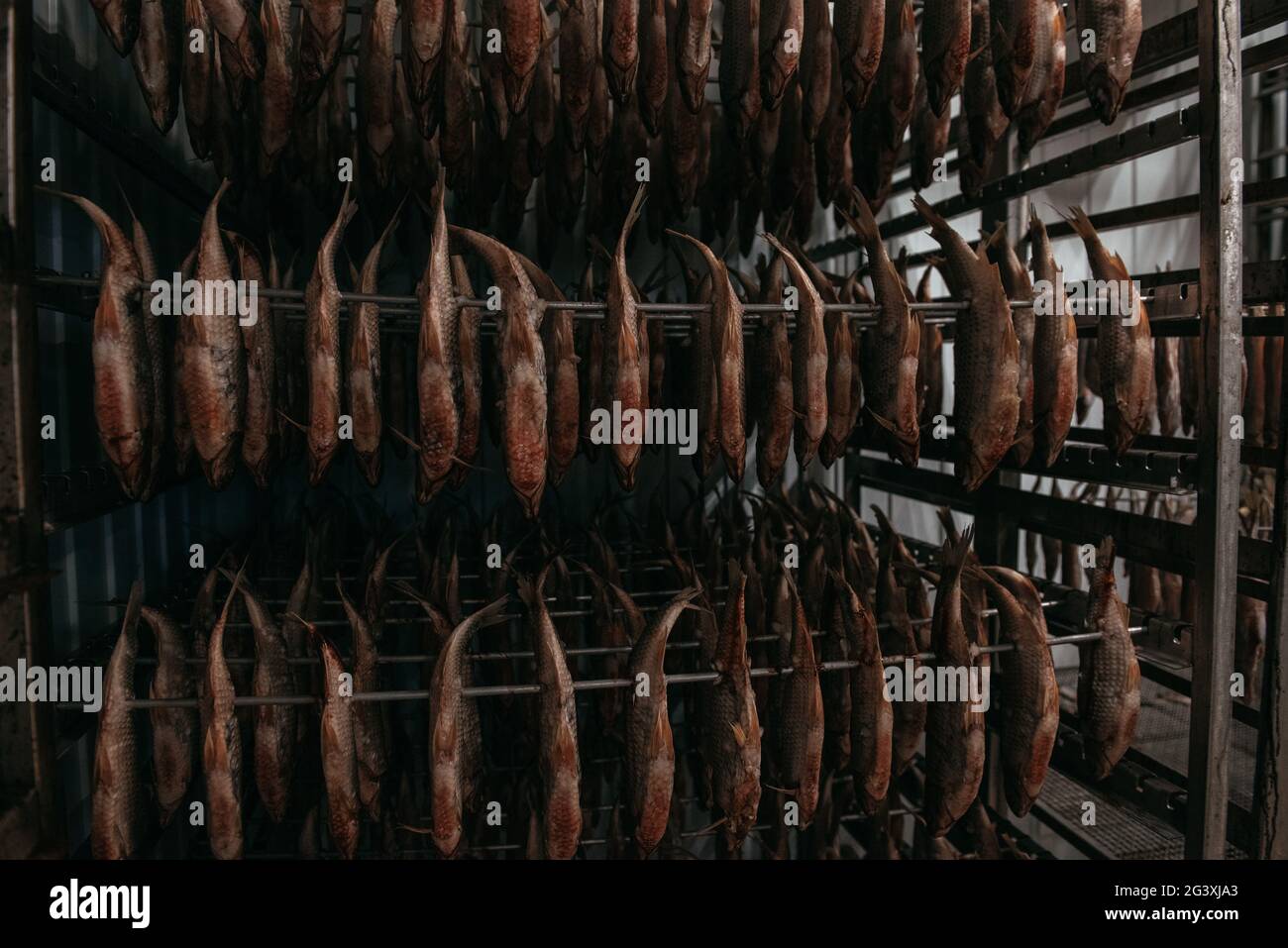 Smoked fish production concept Stock Photo - Alamy