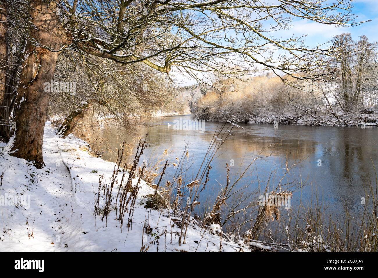 River Teviot Scotland Borders High Resolution Stock Photography and ...