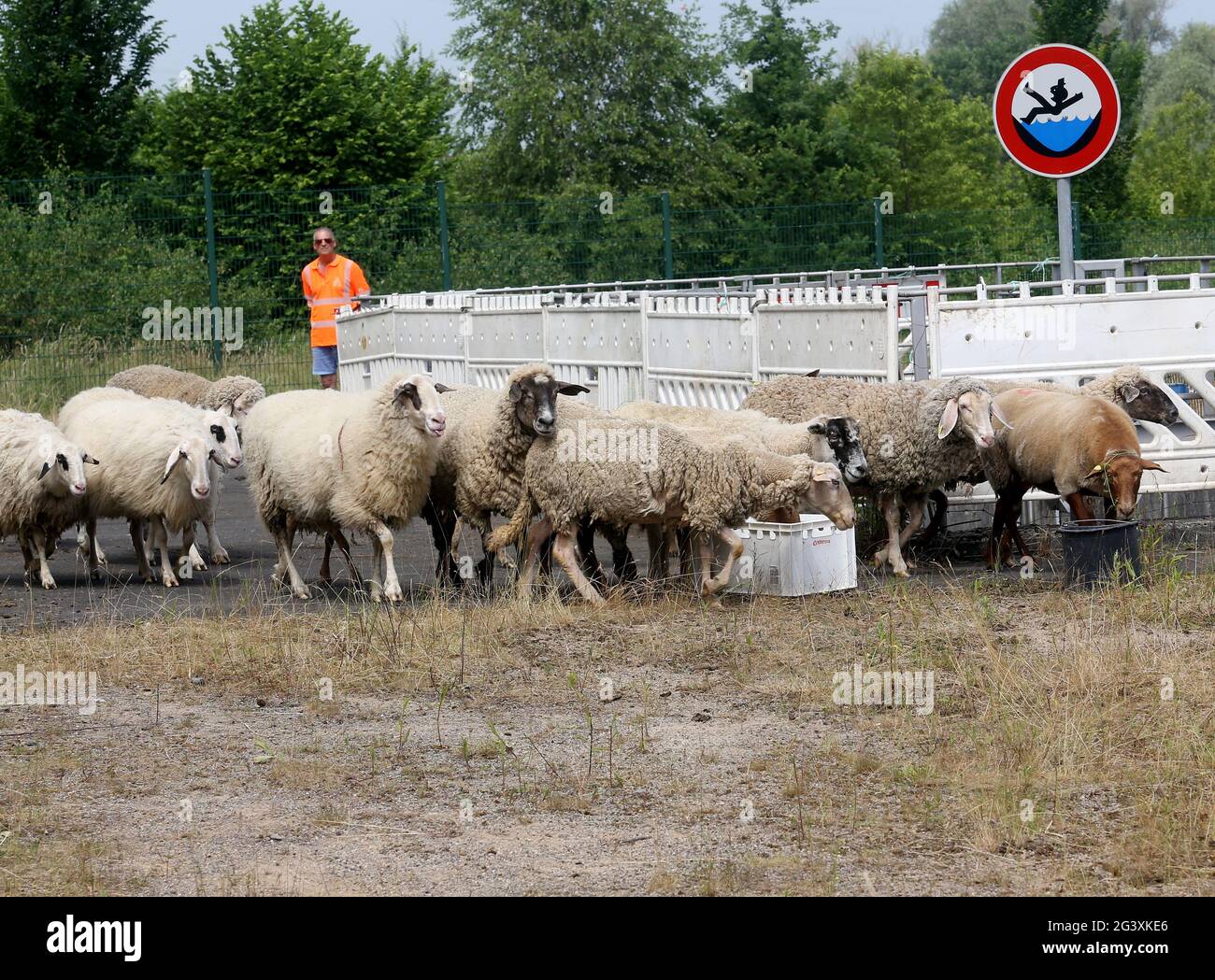 Dortmund nature walk hi-res stock photography and images - Alamy