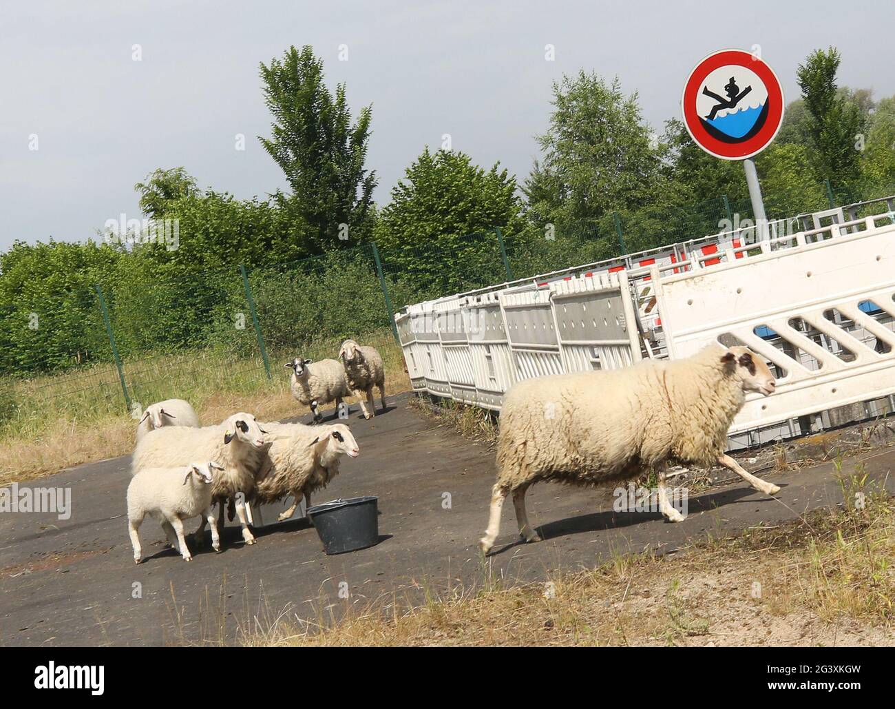 Dortmund nature walk hi-res stock photography and images - Alamy